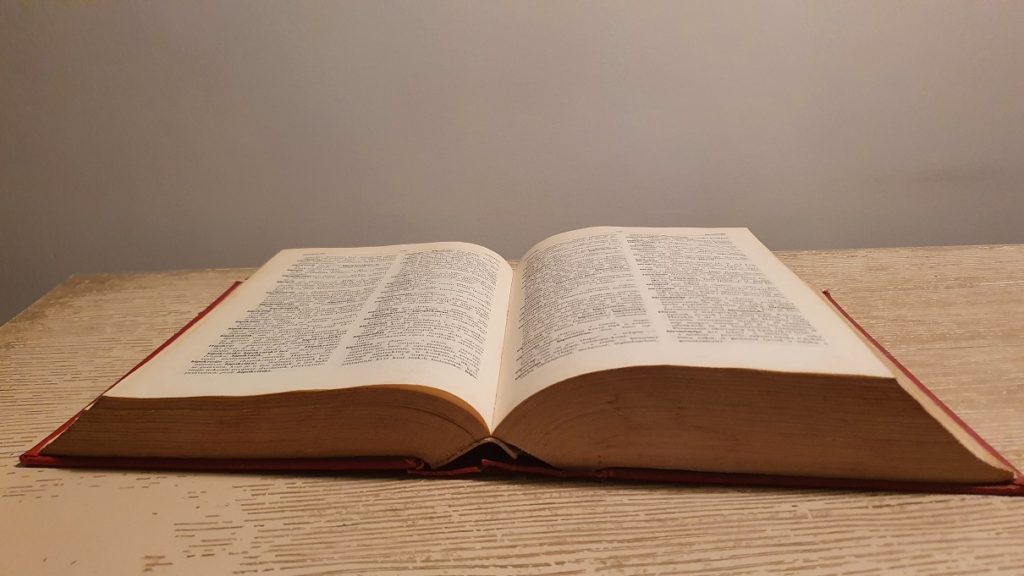 What Would Happen To World Without Laws and Rules?