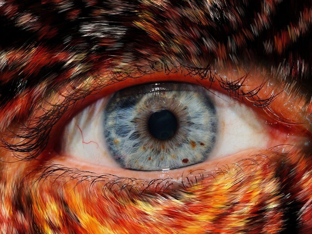 What Is The Nature Of Reality?