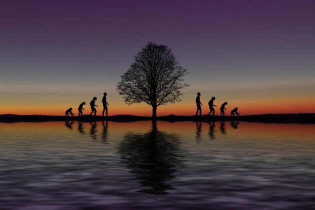 Infographic Timeline Of Human Evolution